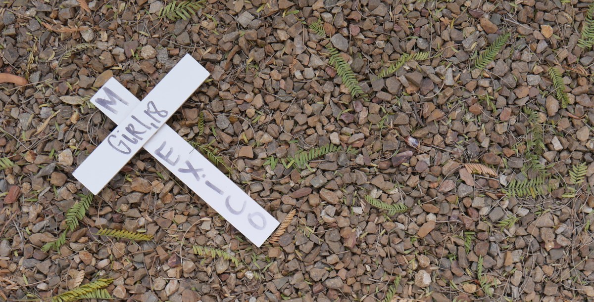 When We Cannot Say Her Name – Hannah Adair Bonner