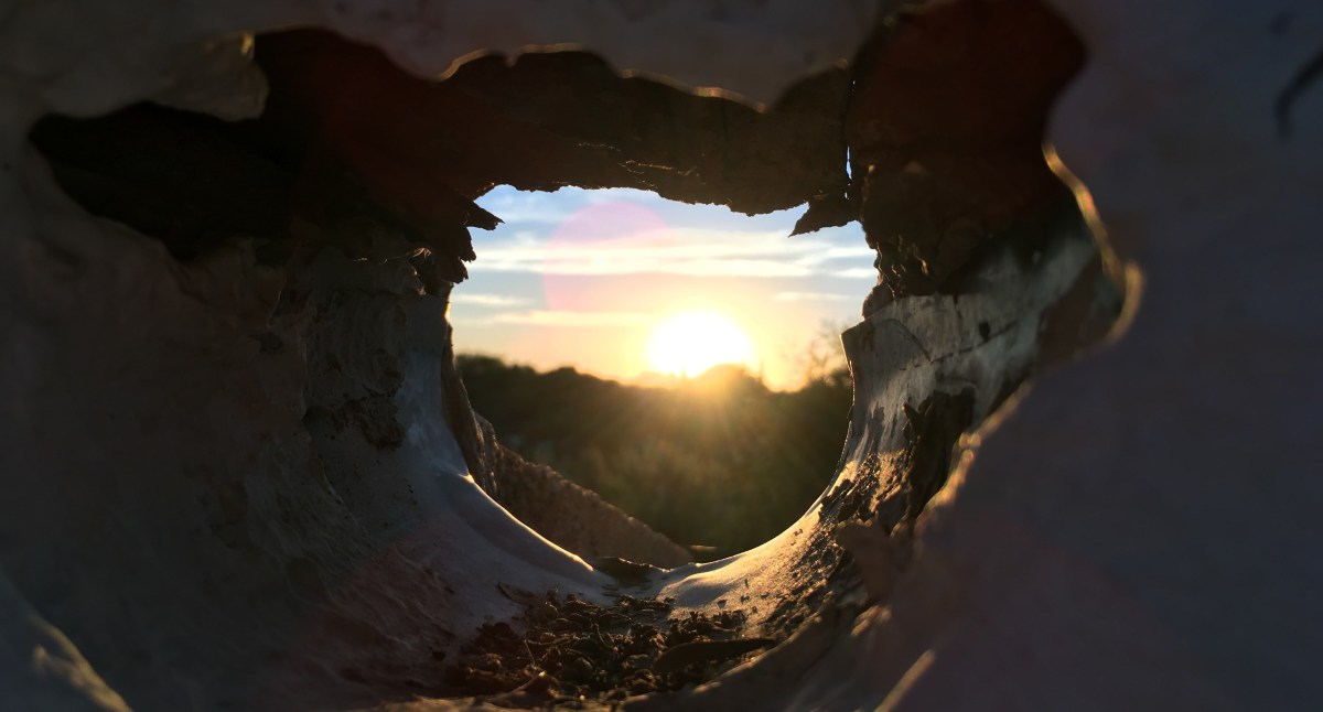 Wrestling with Peace – Hannah Adair Bonner